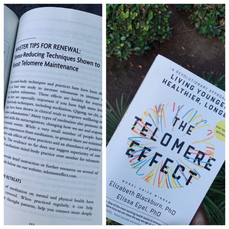 “The Telomere Effect - A Revolutionary approach to Living younger ...